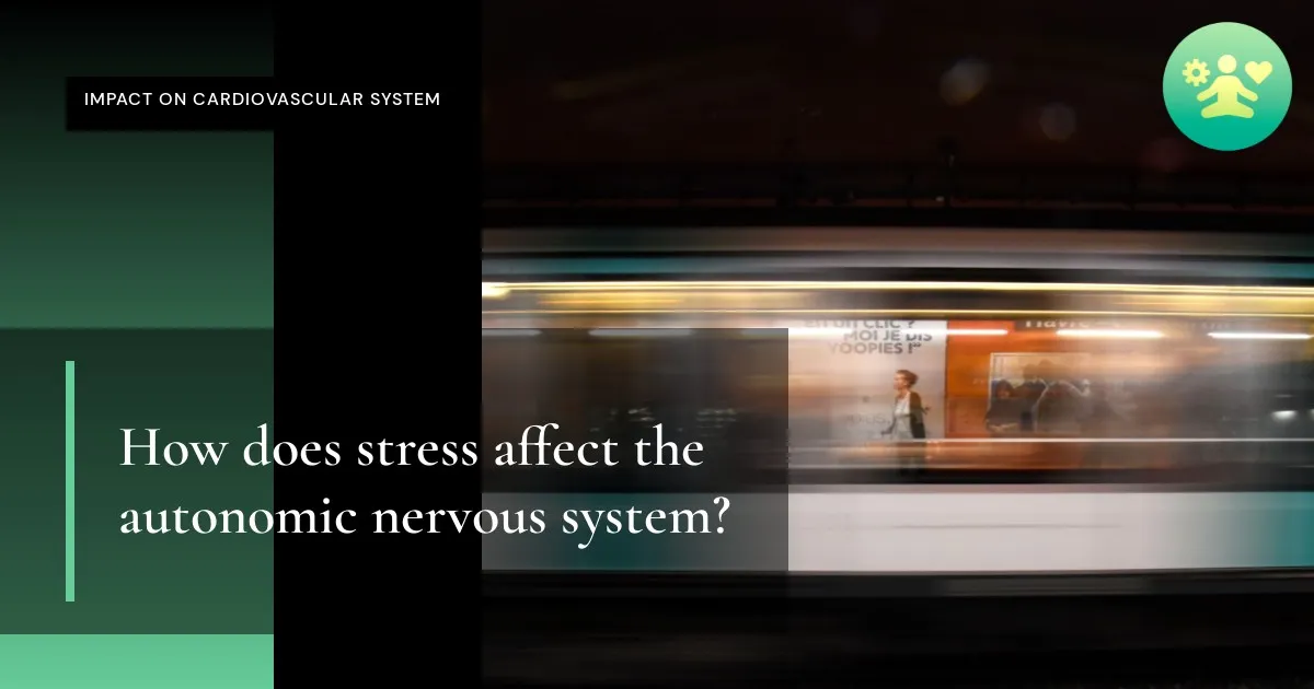 How does stress affect the autonomic nervous system?